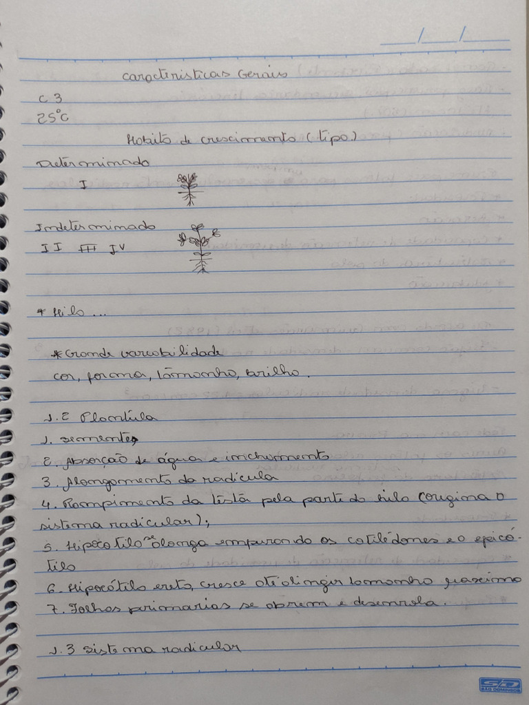 Mapa - Aula Feijão | PDF