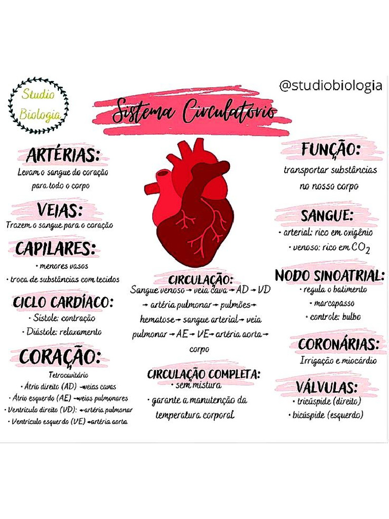 Image To PDF 20240404 12.02.27 | PDF