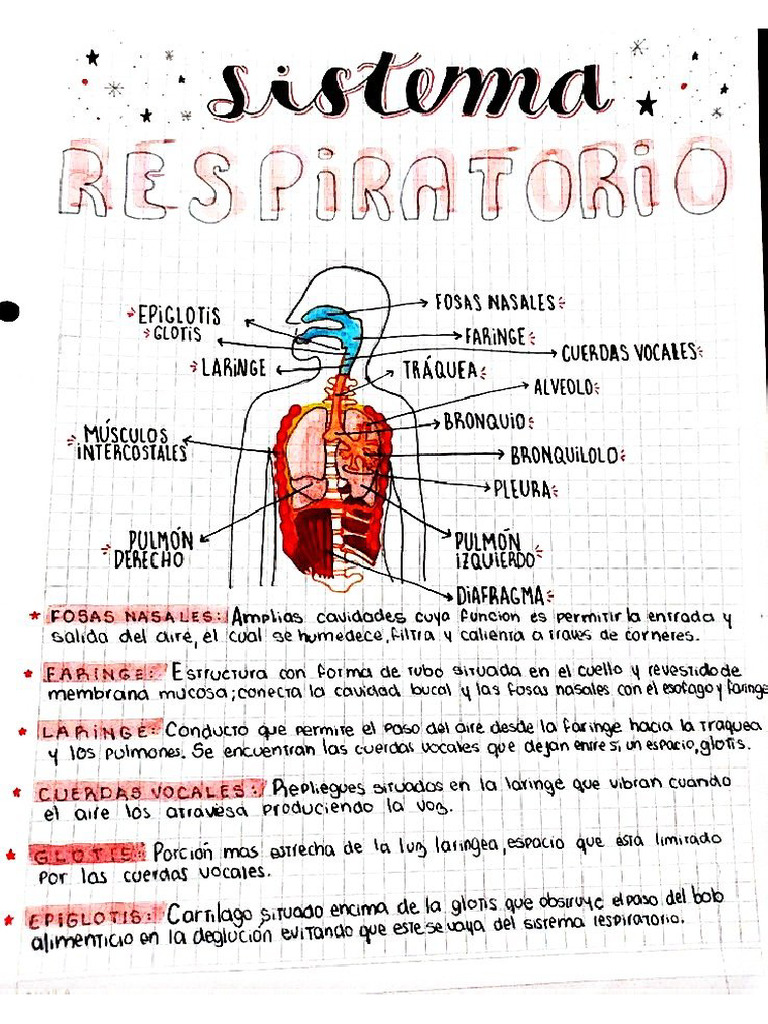 Image To PDF 20240404 12.01.32 | PDF