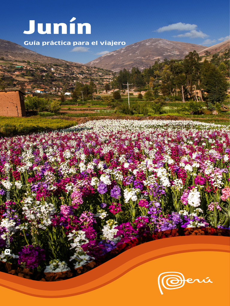 JUNÍN | PDF