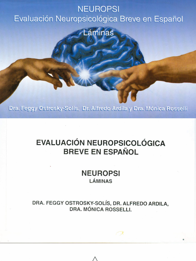 Laminas Neuropsi Breve0001 | PDF