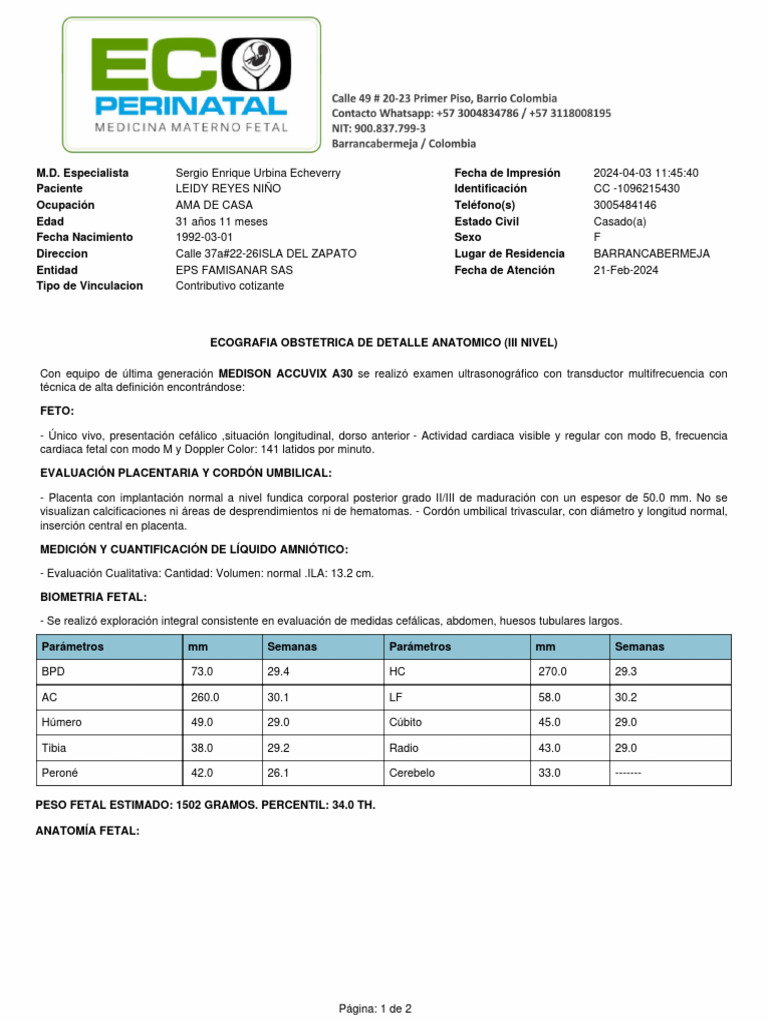 LEIDY REYES NIÑO Detalle Anatomico Febrero 2024 | PDF | Feto | Anatomía