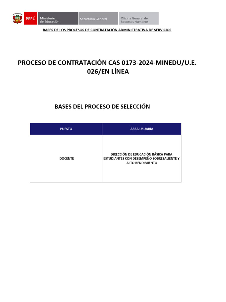 Bases Proceso CAS | PDF