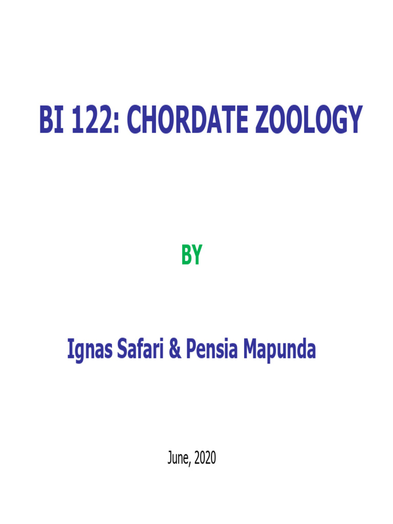 Chordate Zoology: Urochordata Overview | PDF | Zoology | Anatomy
