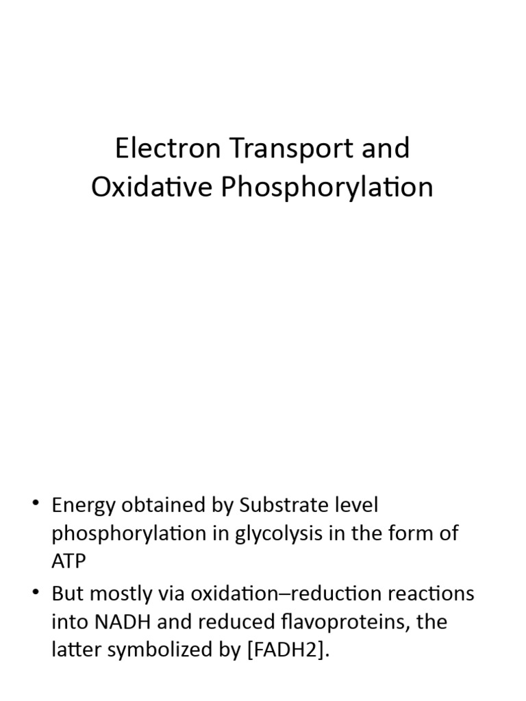 Electron Transport & Oxidative Phosphorylation | PDF | Electron ...