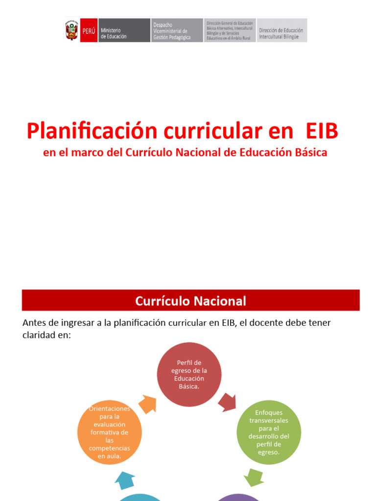 Planificación Curricular EIB Final Marzo 2018 | PDF | Plan de estudios | Evaluación