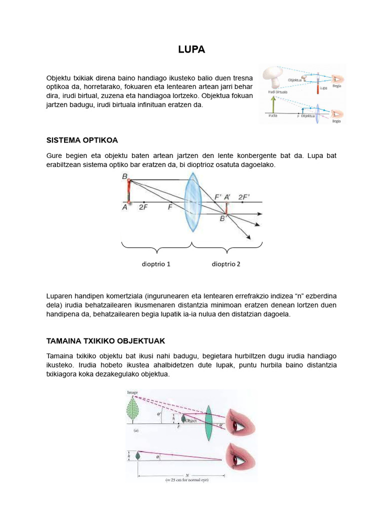 5 - LUPA. Deskribapena. Eskema - Nola Eratzen Diren Irudiak. Handipena. (Aroa, Leire Eta Sadik ...