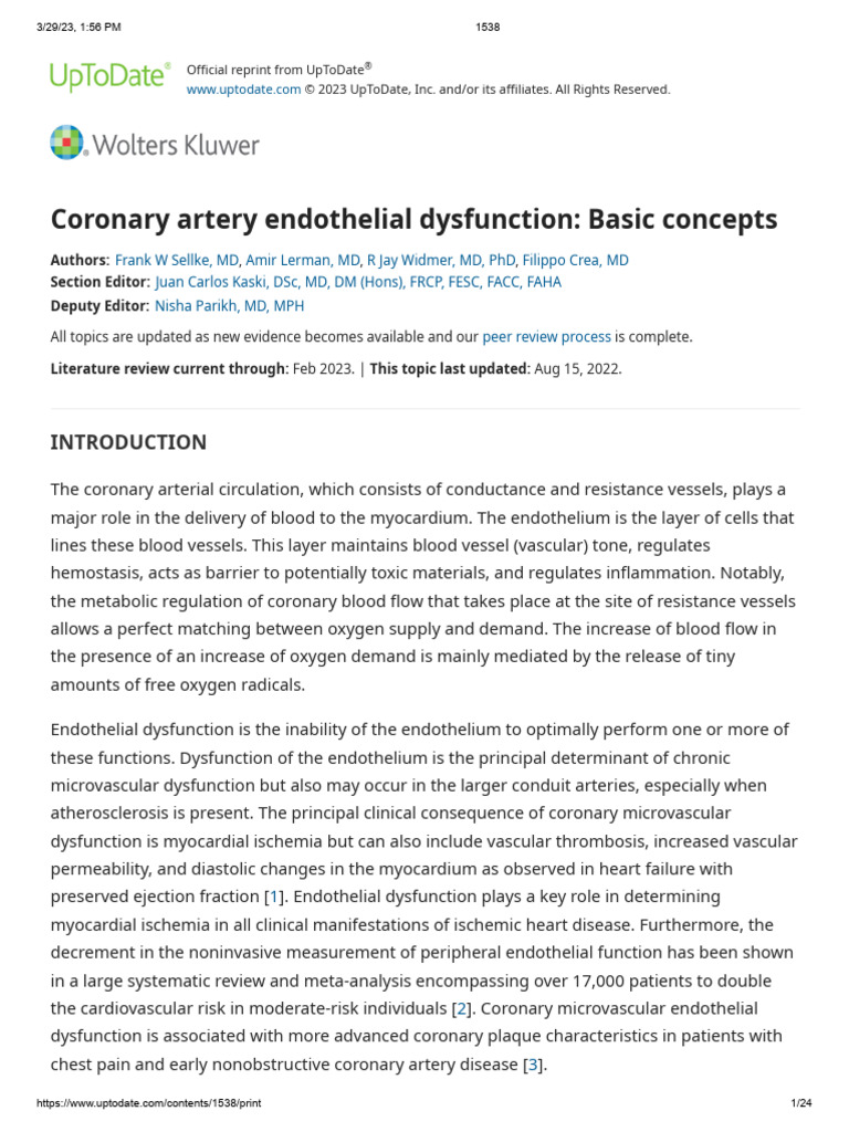 Coronary Artery Endothelial Dysfunction: Basic Concepts | PDF ...