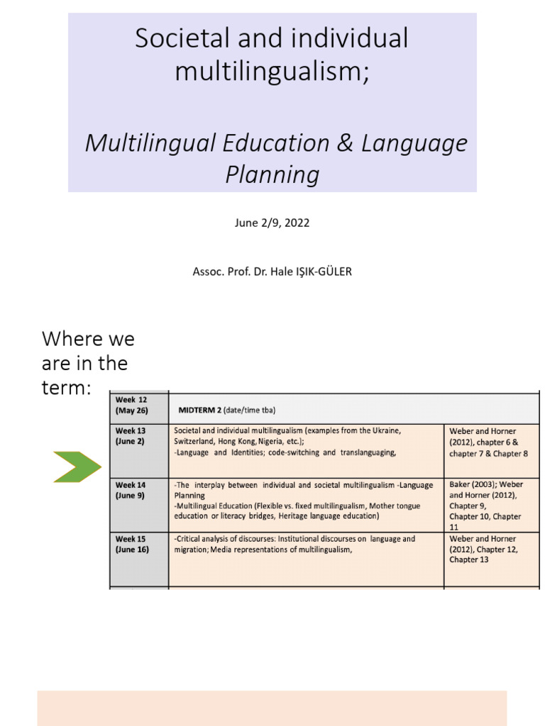 337-4-Societal and Individual Multilingualism | PDF | Standard Chinese | Multilingualism