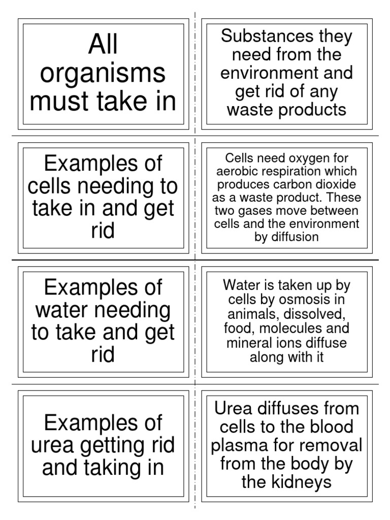 Bioligy Edecel Unit 8 - Exchange and Transport in Animals | PDF | Heart | Atrium (Heart)