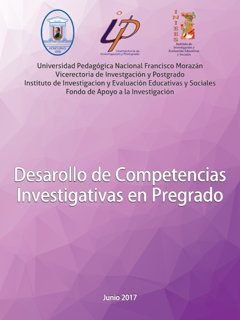 Informe. Desarrollo de Competencias Investigativas | PDF | Maestros | Plan de estudios