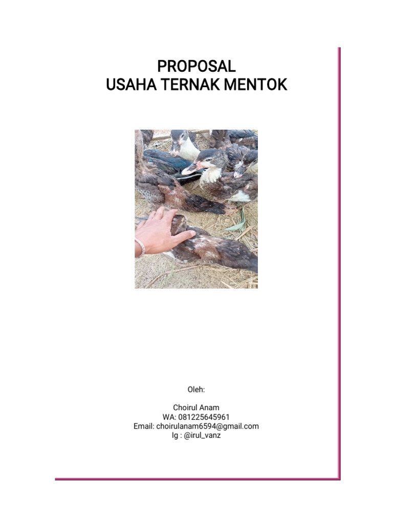 Proposal Usaha Ternak Mentok | PDF