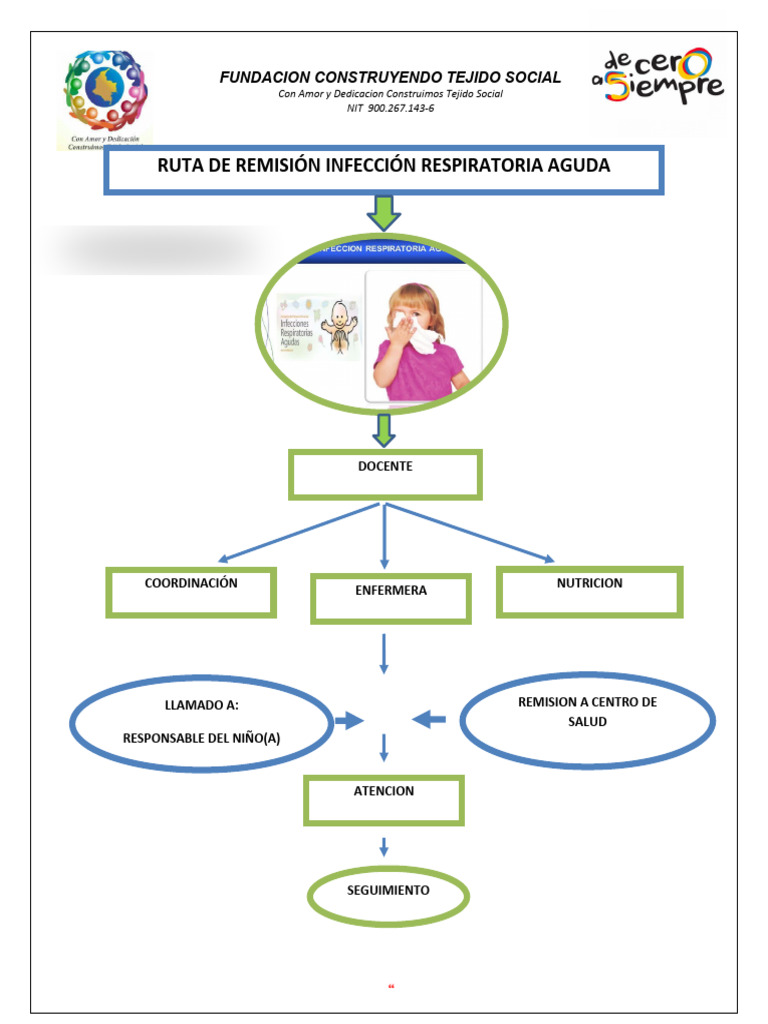 Protocolo Para La Activacion De Rutas De Atencion Y Actuacion Pdf 1033