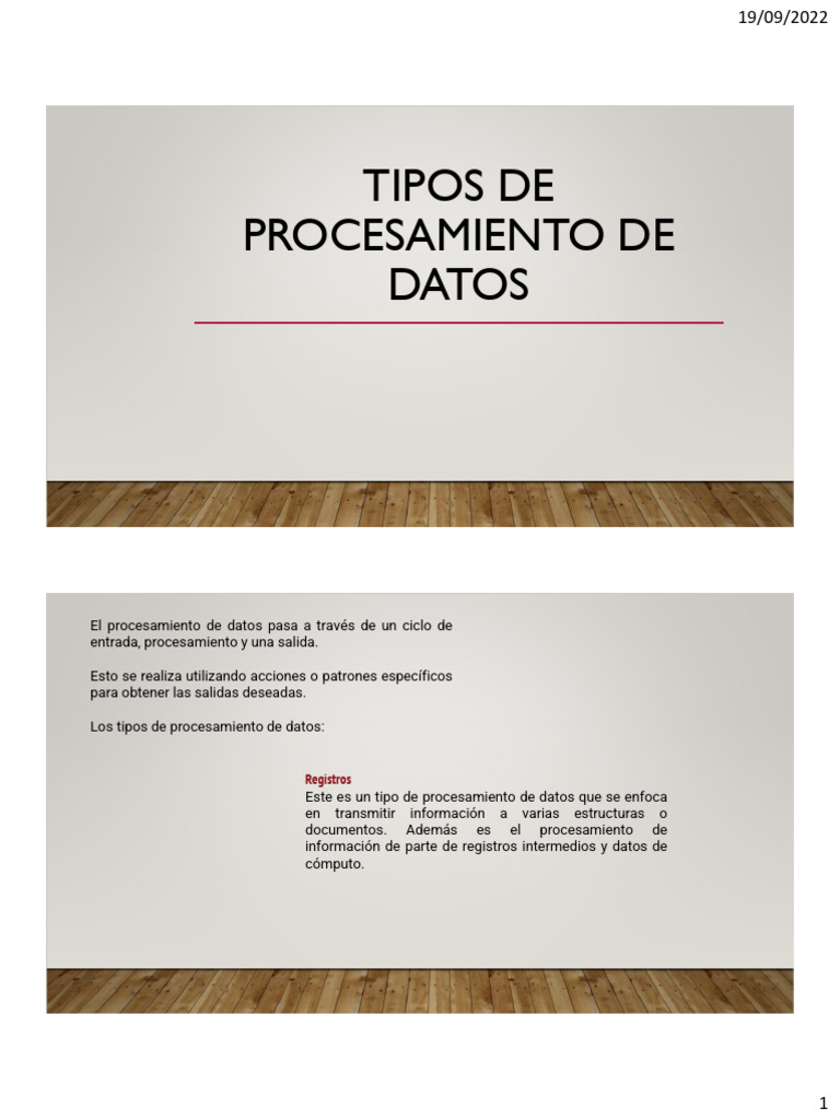 Tipos de Procesamiento de Datos | PDF | Auditoría | Business