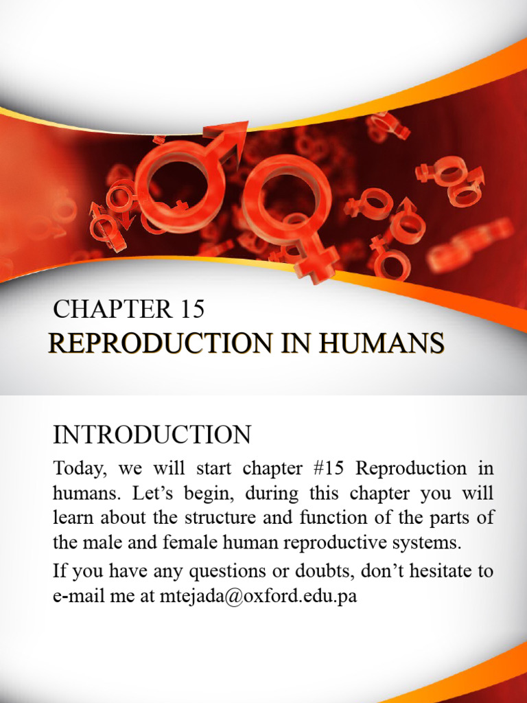 Human Reproductive System Overview | PDF | Reproductive System | Ovary