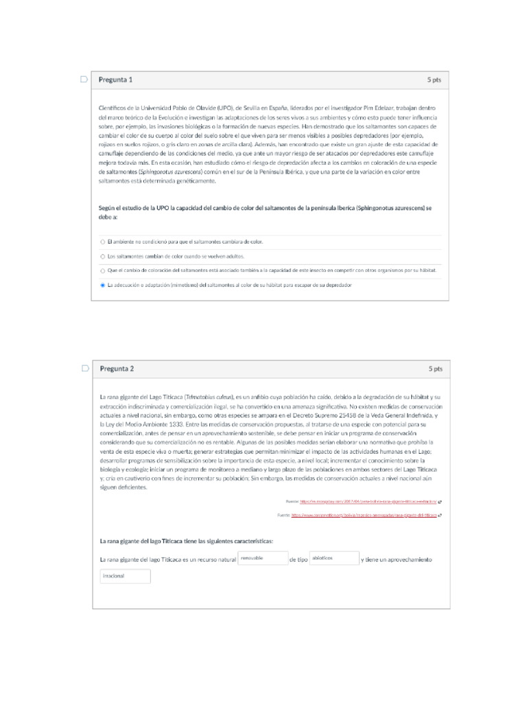 Examen de Practica Calificada | PDF