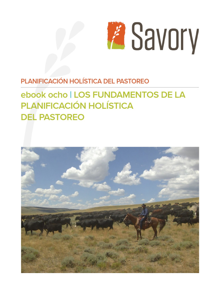 MH Ebook 8 2018 SP - Los Fundamentos de La Planificacion Holistica Del Pastoreo | PDF | Pasto ...