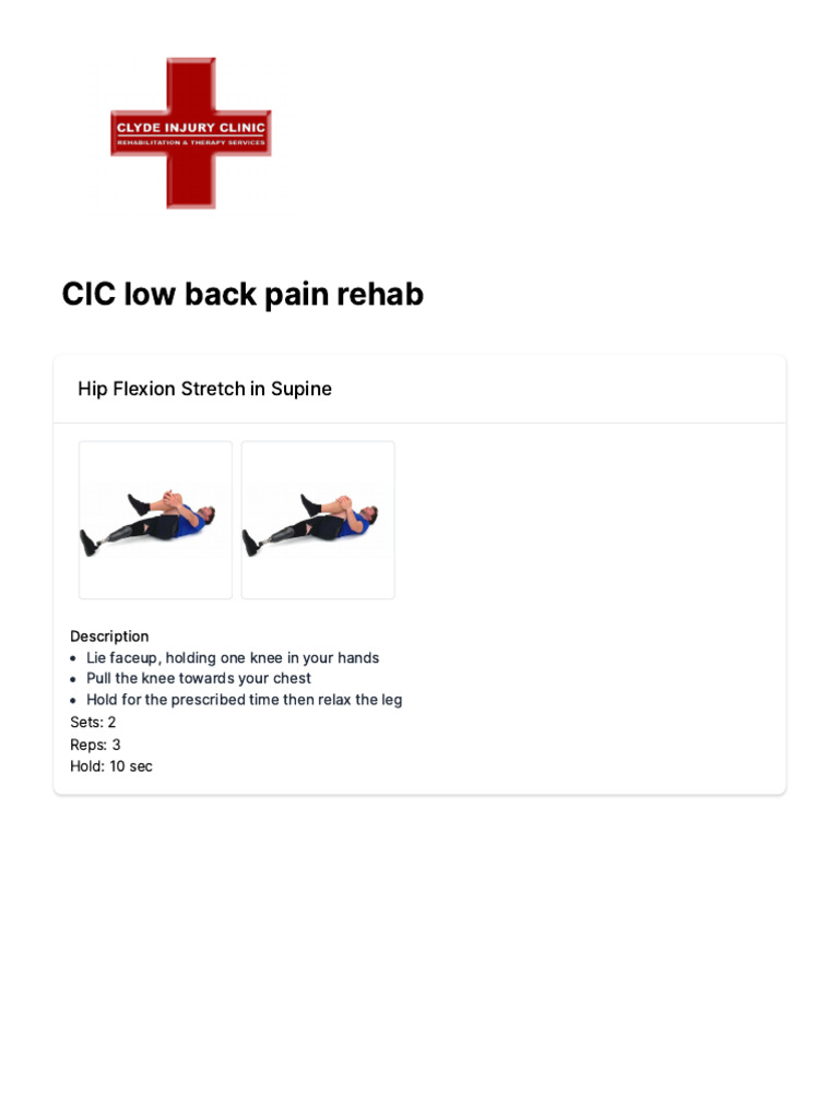 Low Back Pain Rehab Exercises Guide | PDF | Anatomical Terms Of Motion ...