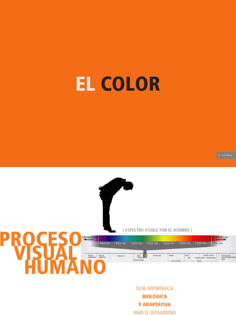 Teórica Color | PDF | Color | Negro Teórica Color | PDF | Color | Negro