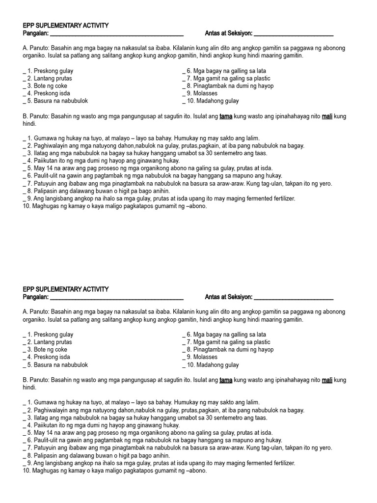 Epp Suplementary Activity | PDF