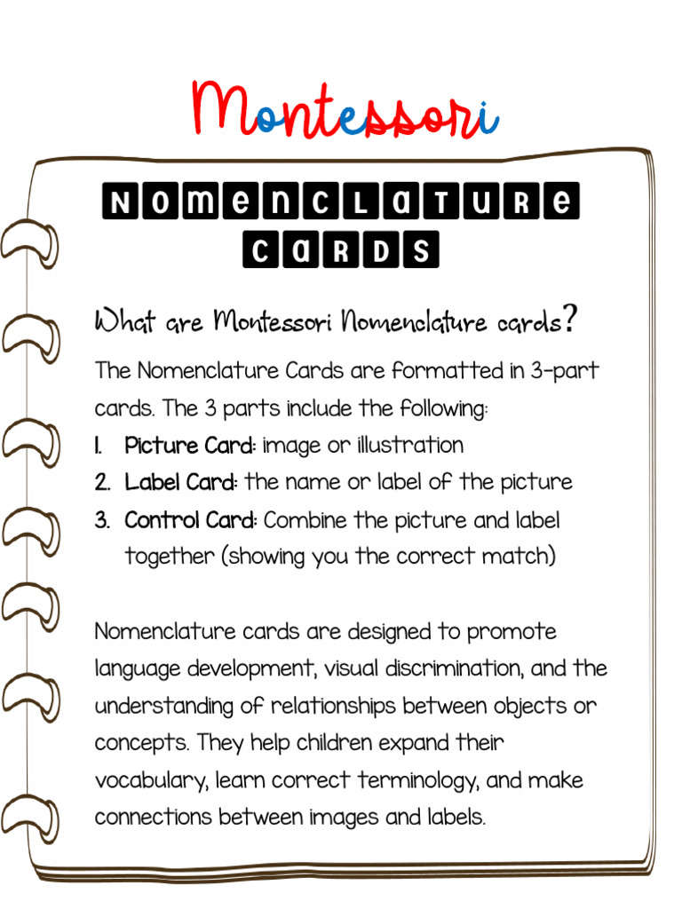 Montessori Nomenclature Cards Guide | PDF