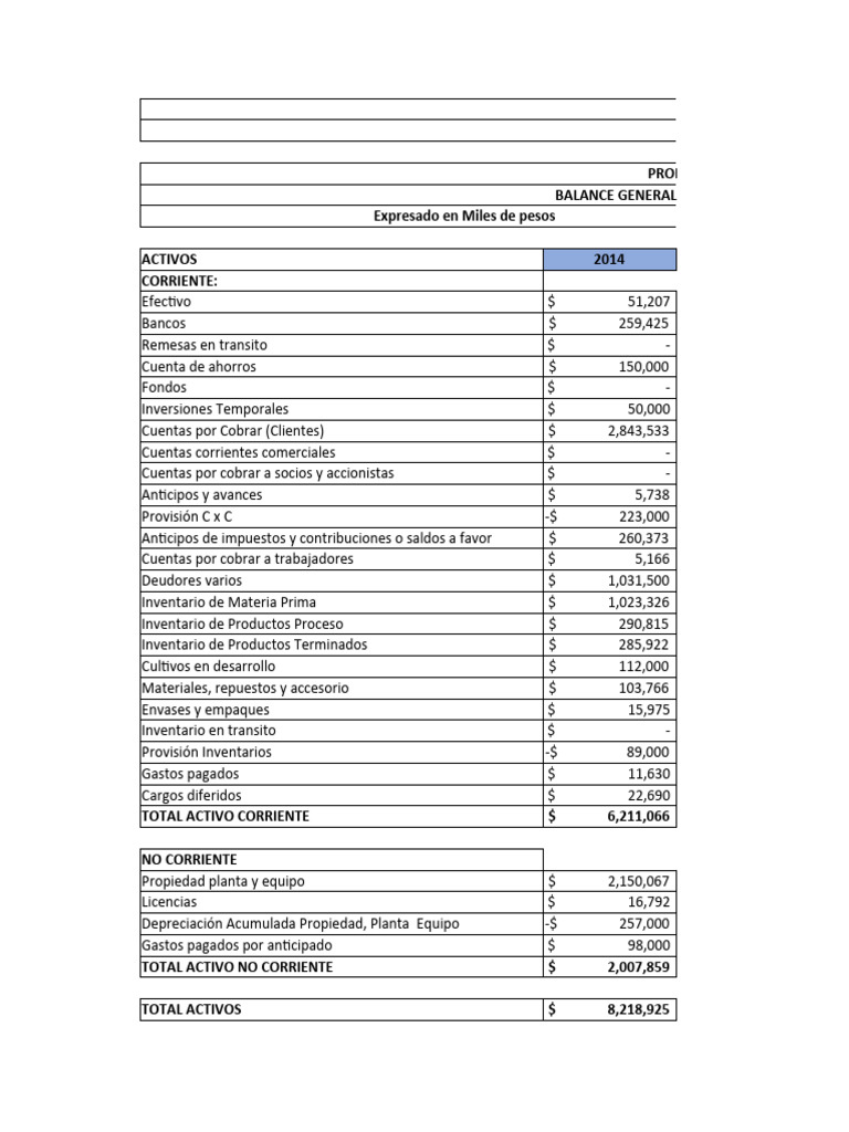 Estado Financiero - Prohesa S.A.S - Sofia Sofia | PDF | Bancos ...