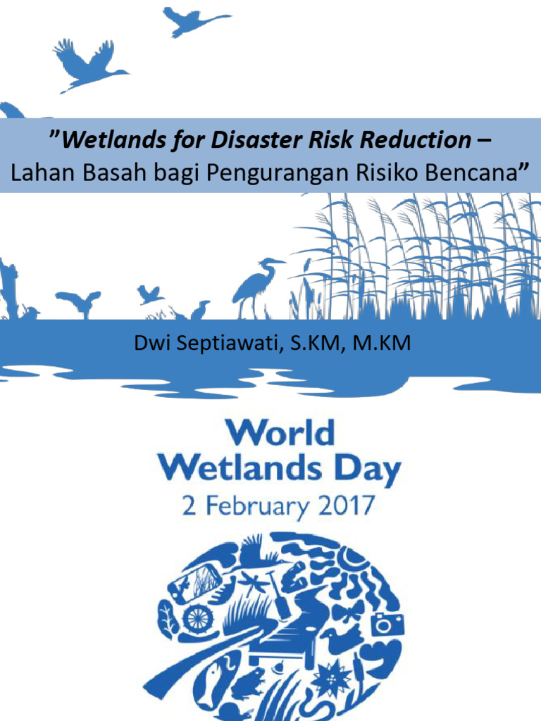 Wetlands For Disaster Risk Reduction | PDF