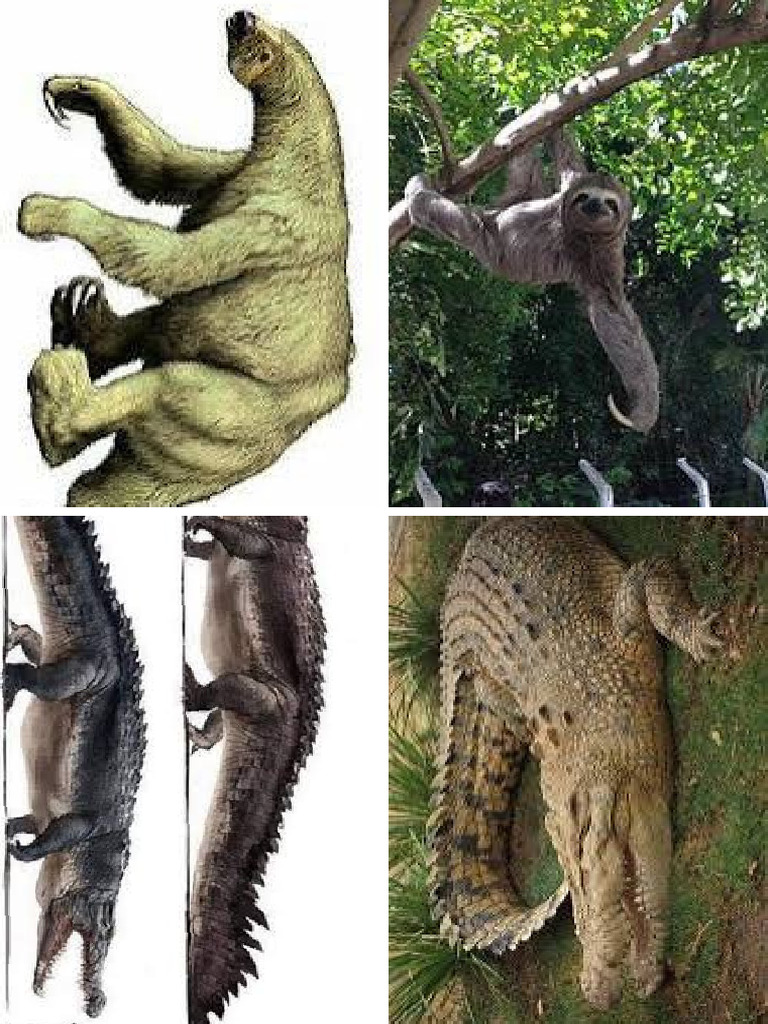 Design sem nome | PDF