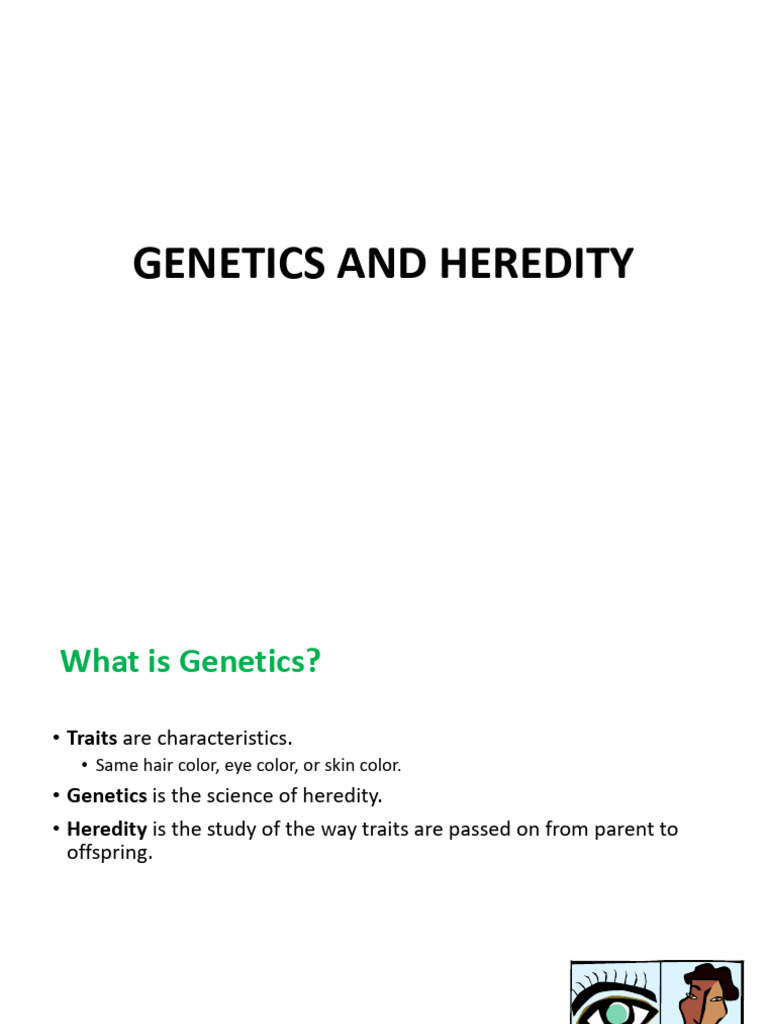 Genetics and Heredity PPT Copy2.1 | PDF | Dominance (Genetics) | Heredity