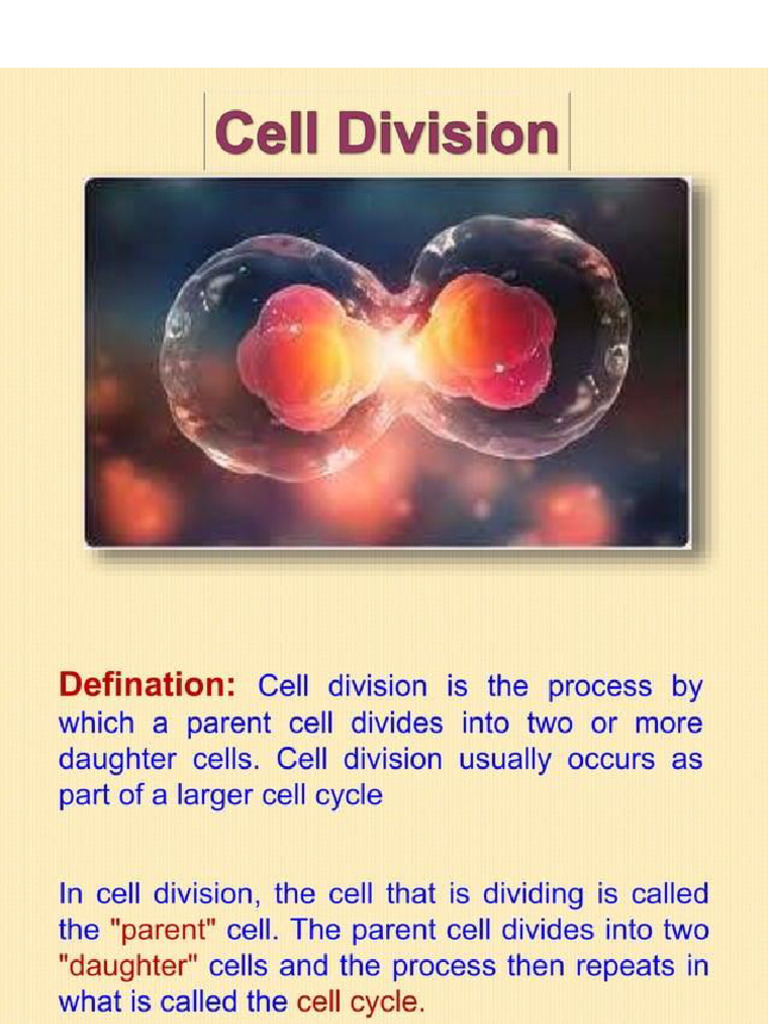 Cell Division - Lesson 2 | PDF