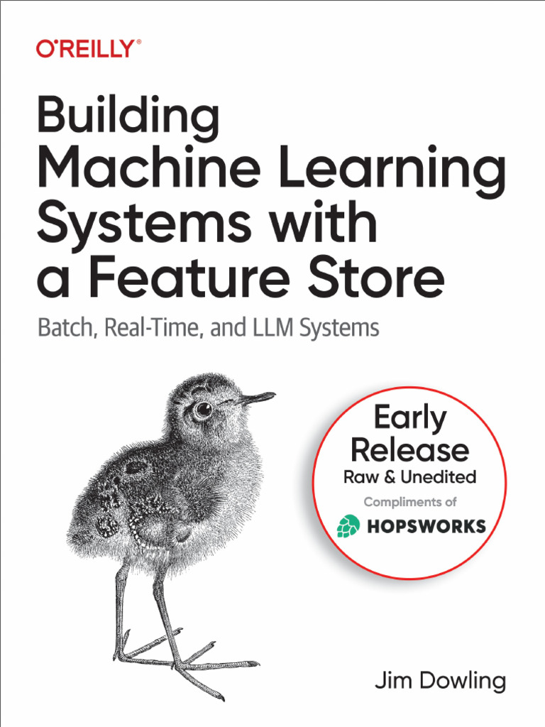 Building Machine Learning Systems With A Feature Store - Early Release ...