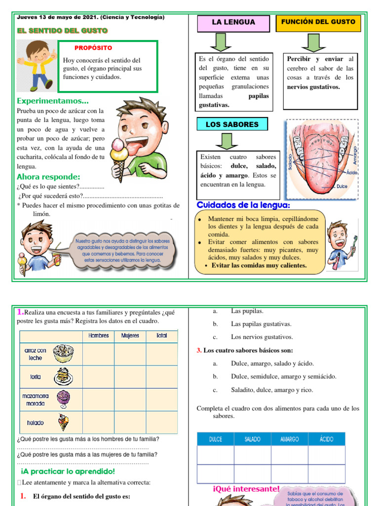 El Sentido Del Gusto - Ficha | PDF | Gusto
