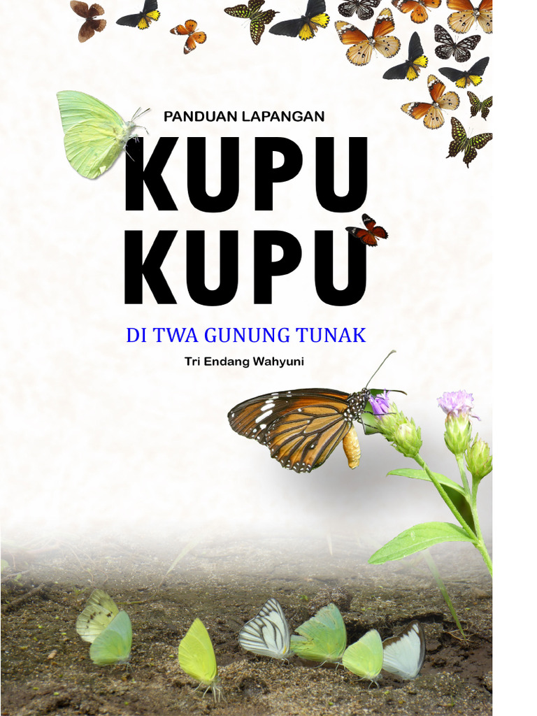 Buku Kupu2 TWA Tunak | PDF