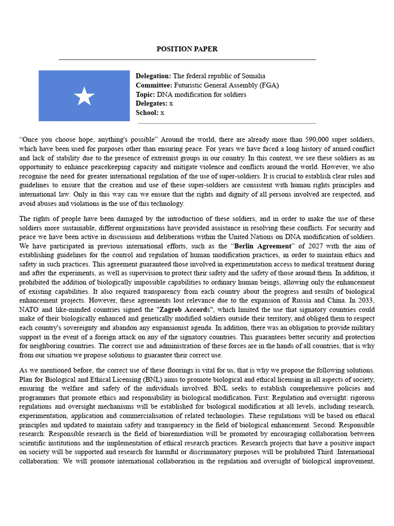 Position Paper | PDF | Safety | United Nations