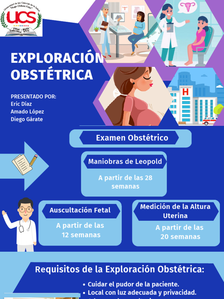 Exploración Obstétrica | Descargar gratis PDF | Salud maternal