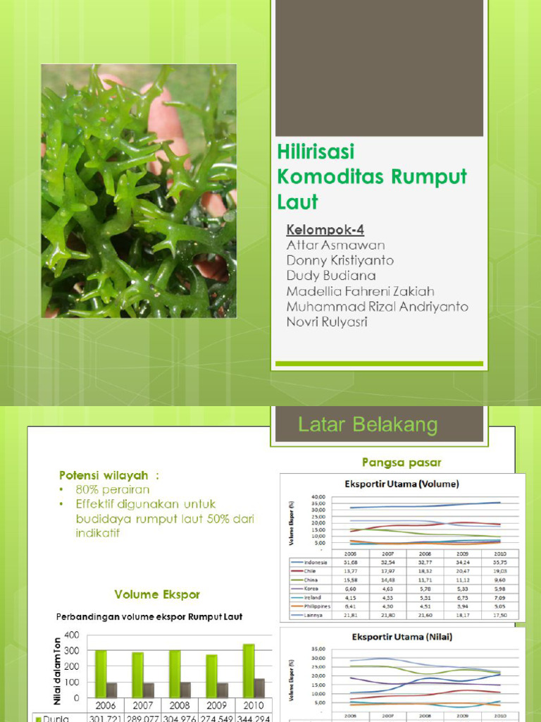 Hilirisasi Rumput Laut | PDF