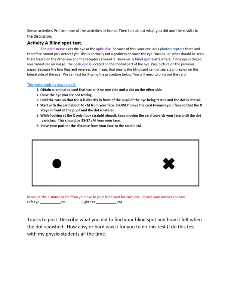 Sense Testing-1 | Download Free PDF | Eye | Anatomy