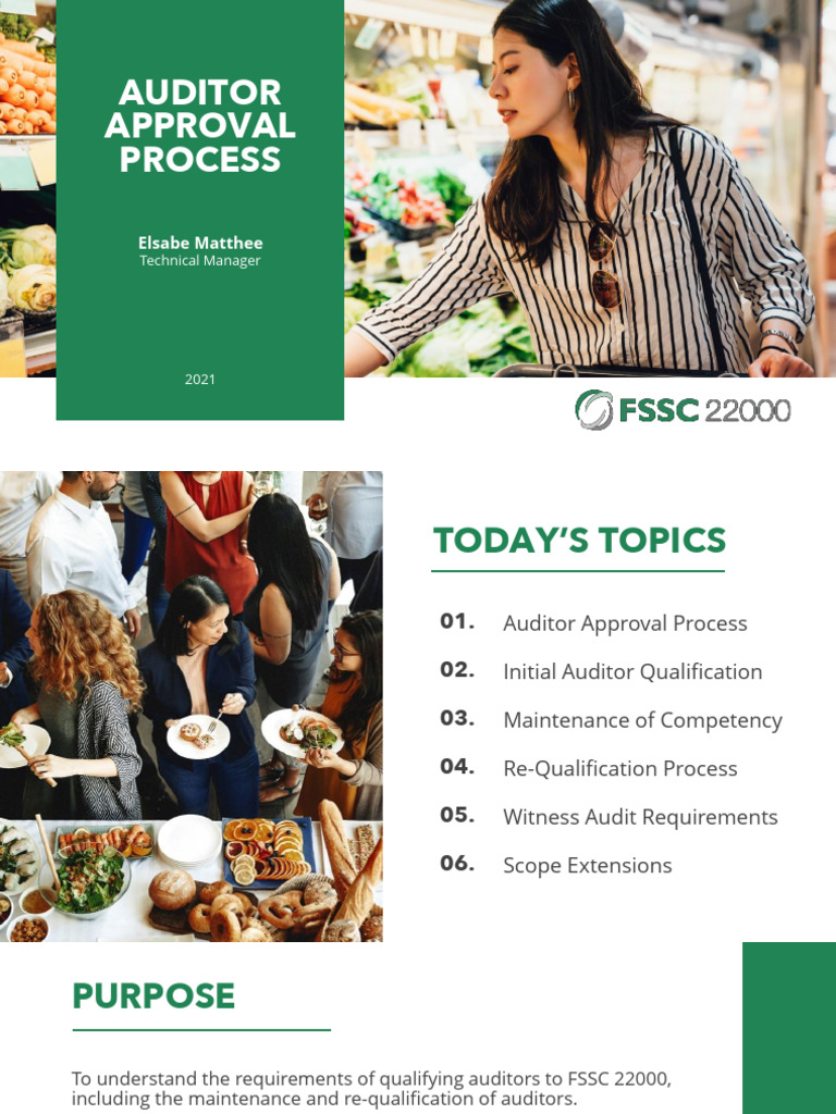 T.005 Auditor Approval Process PDF | PDF | Audit | Business