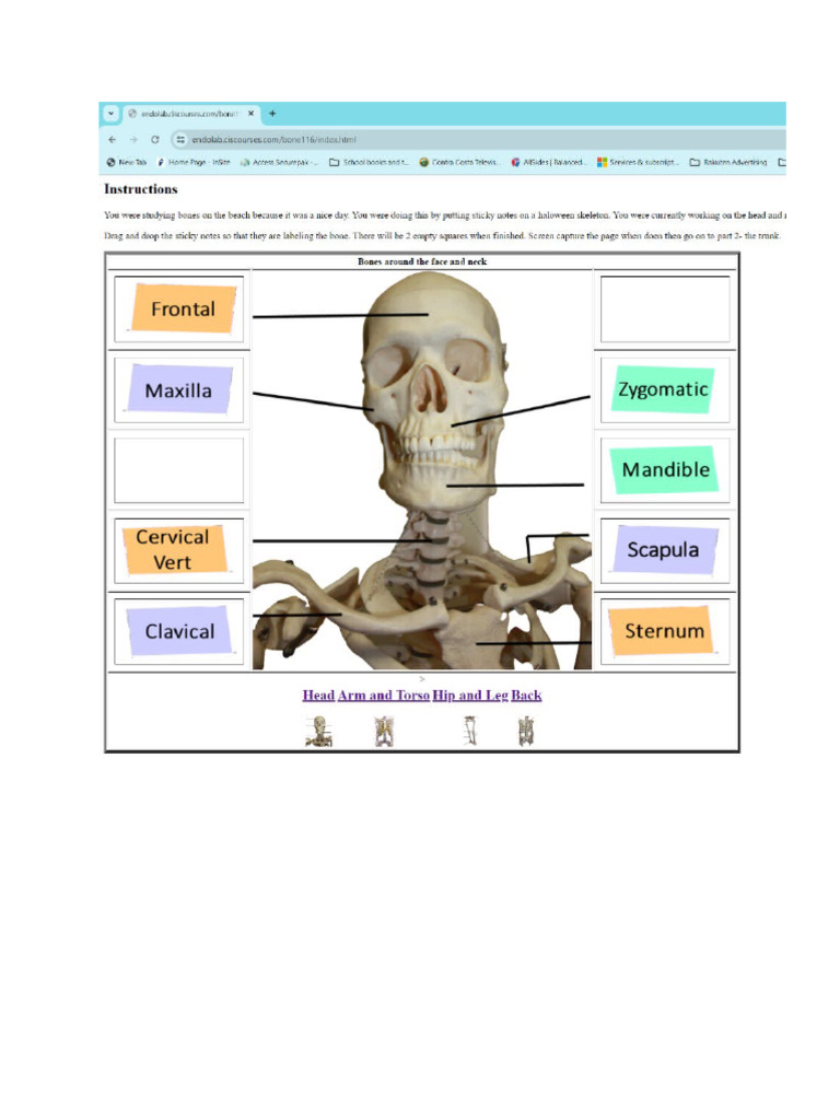 Science Work 435623 | PDF