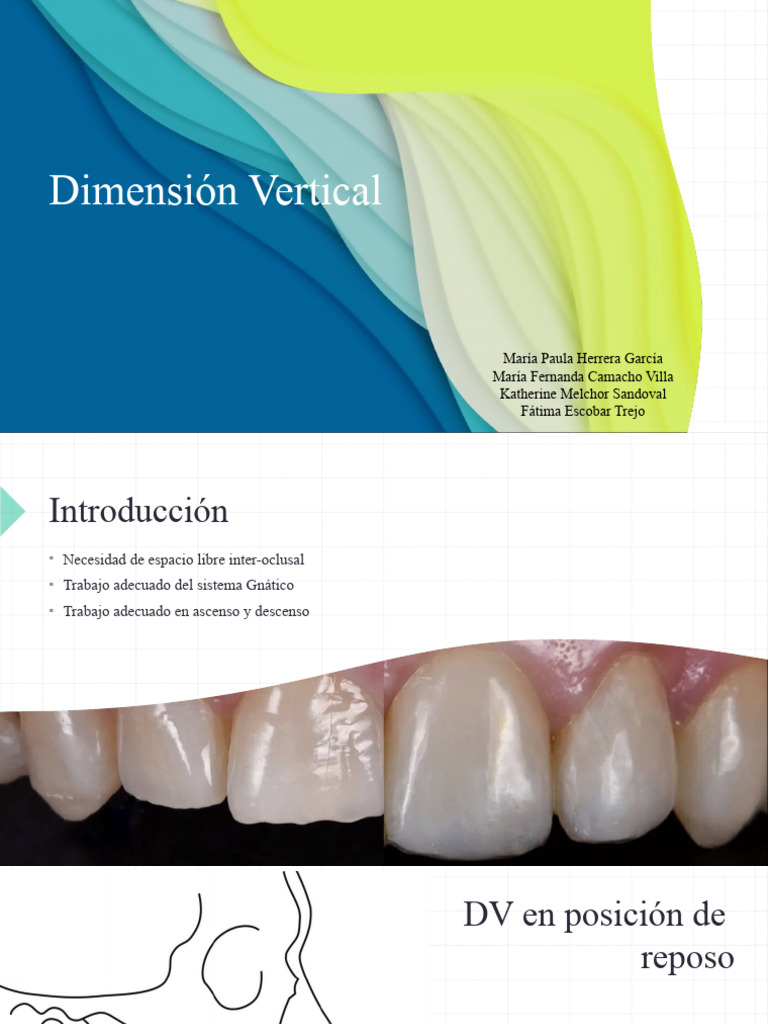 Dimensión Vertical y Espacio Interoclusal | PDF
