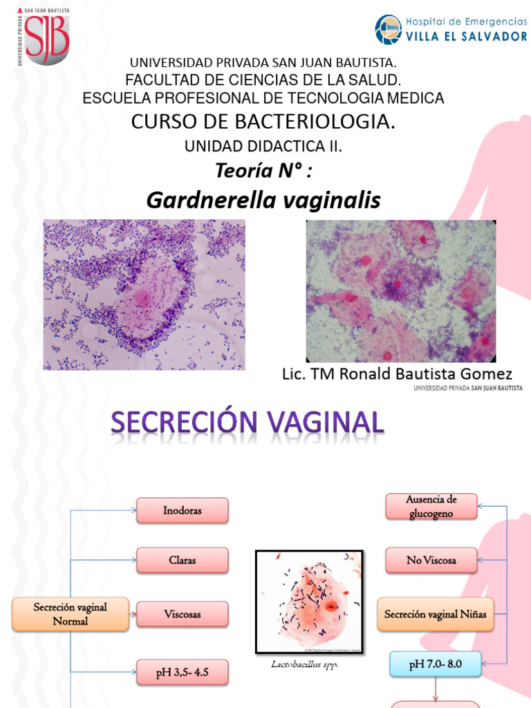 Gardnerella Vaginalis UPSJB | PDF | Microbiología | Vagina