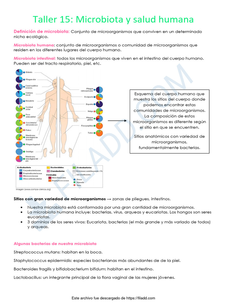 Microbiota y Salud Humana | PDF | Proteínas | Las bacterias