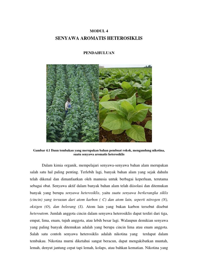 Modul Heterosiklis Ko3 | PDF