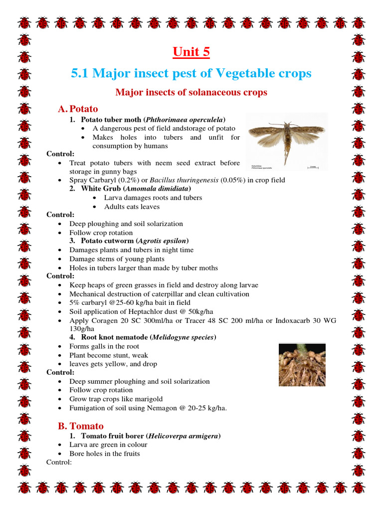 Ento Unit 5 Note Upto 1st Term Exam Portion | PDF | Pest (Organism) | Pupa