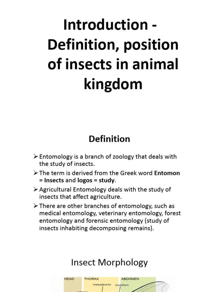 Ento Unit 1 and 2 Note Final | PDF | Insects | Hexapoda