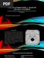Foramen Lacerum: Anatomía y Función | PDF