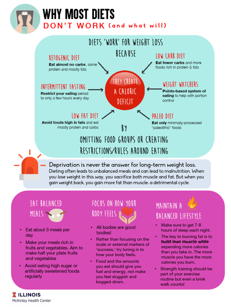 Diet and Weight Loss Handout | PDF | Dieting | Low Carbohydrate Diet