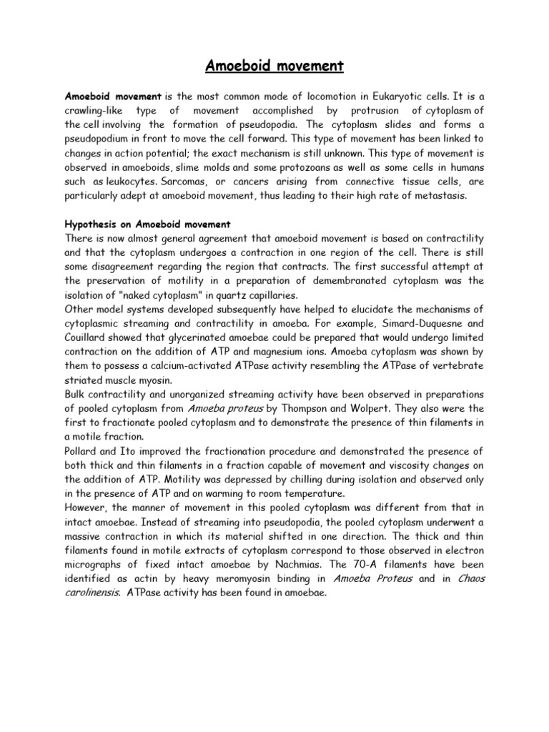 Amoeboid Movement | PDF | Histology | Cell Anatomy