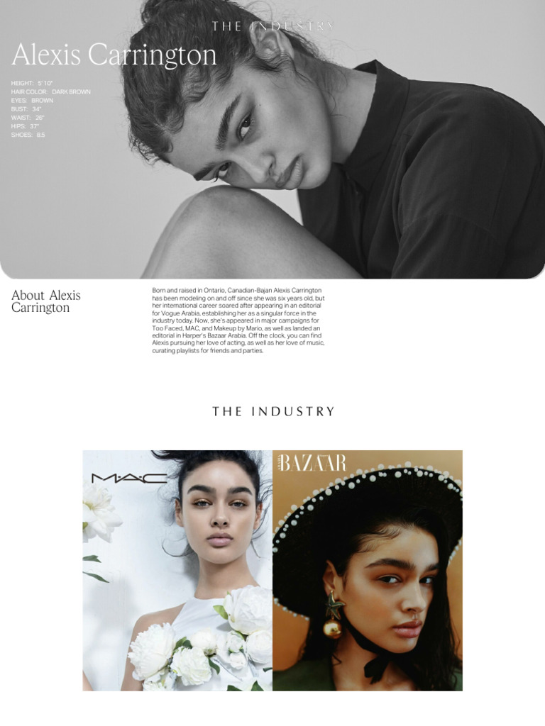 Alexis Carrington Industry Model La | PDF