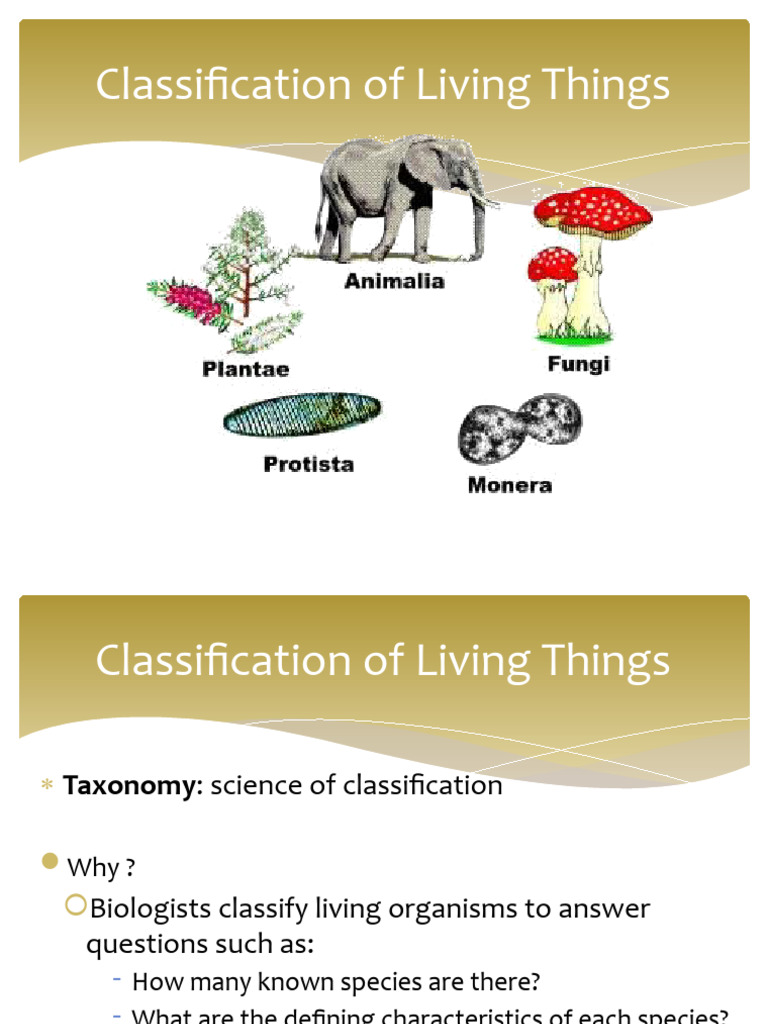 Classification of Living Things | PDF | Cell (Biology) | Eukaryotes